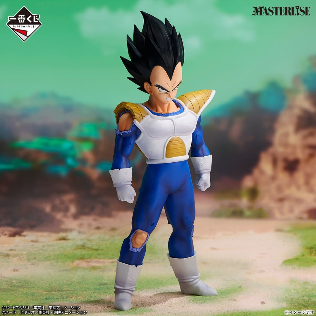 Dragon Ball Z -Vegeta- Vintage 2025 | RyujinJapan